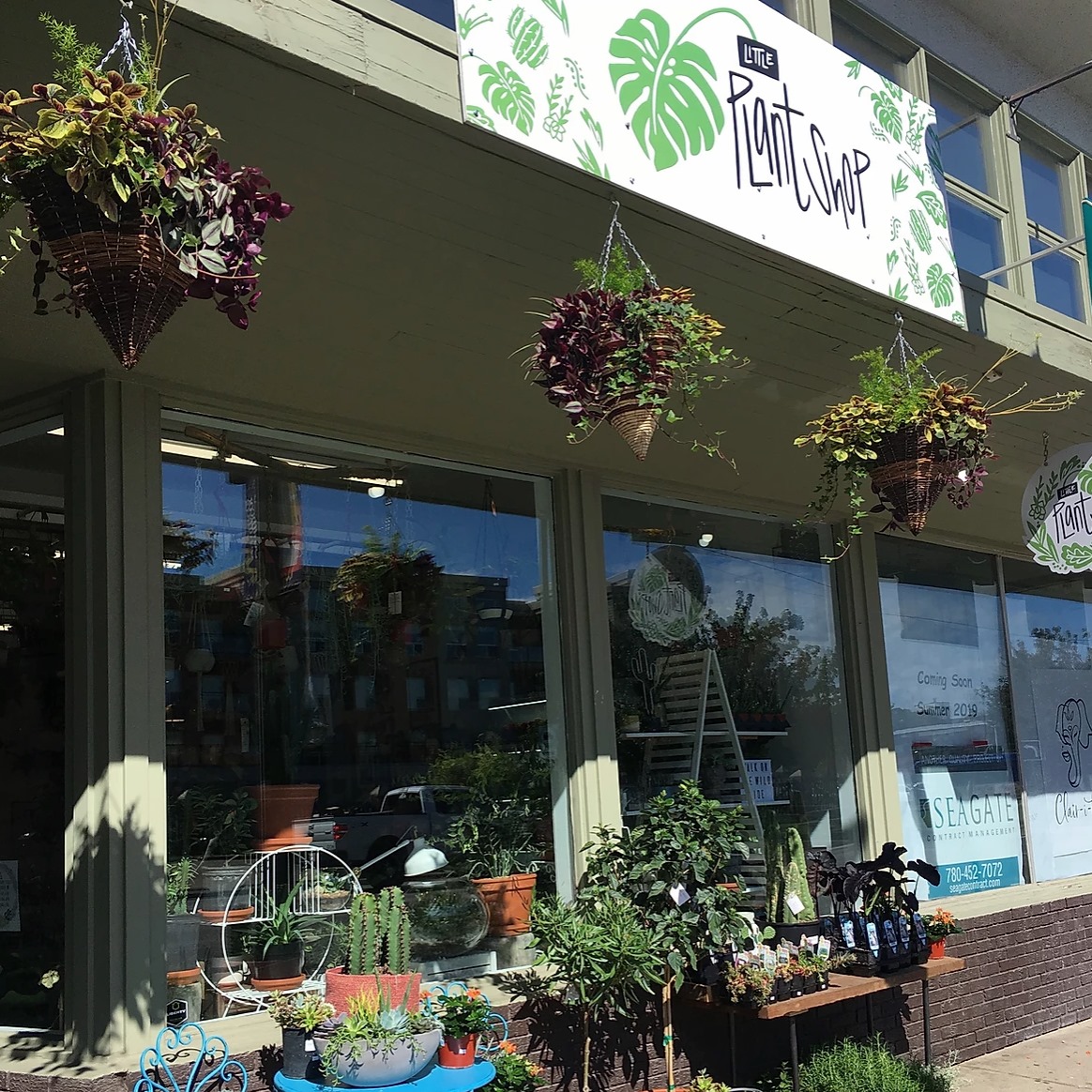 FOR THE LOVE OF PLANTS - Old Strathcona Business Association, Edmonton