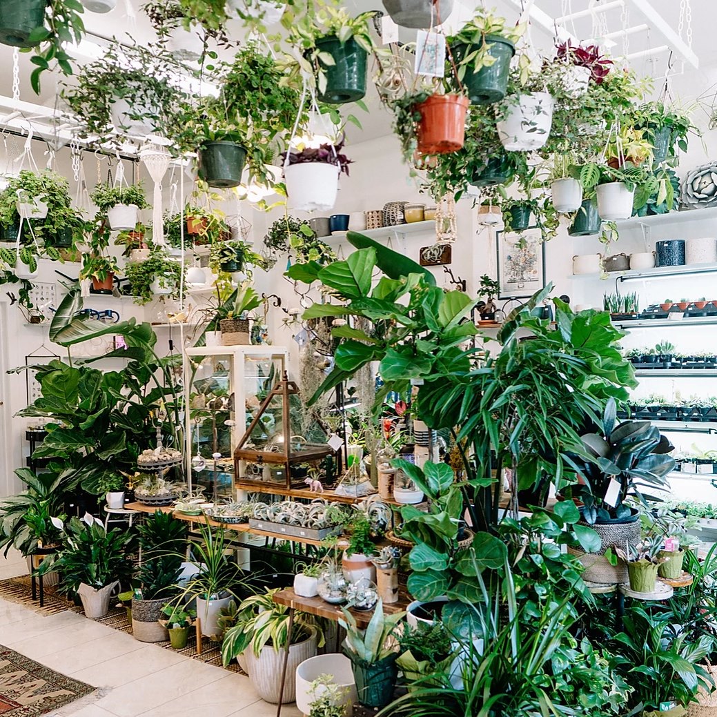 FOR THE LOVE OF PLANTS - Old Strathcona Business Association, Edmonton