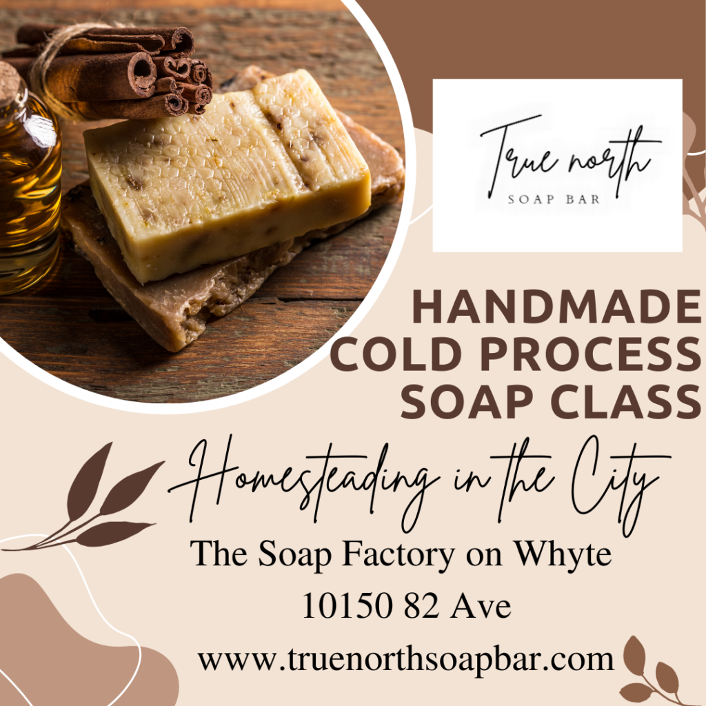 True North Soap Bar Presents: Intro to Cold Process Soap Making - Old ...